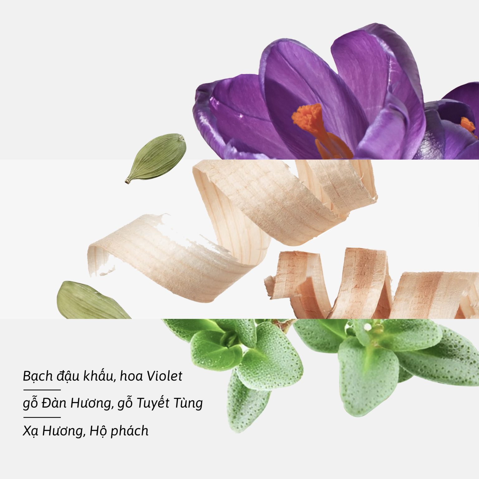 Tinh Dầu Nguyên Chất Miyako Home – Thiên Bình - Việt Beauties