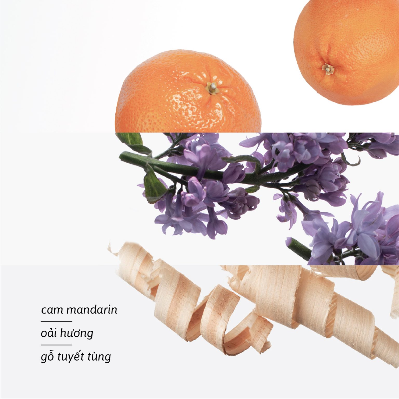 Tinh Dầu Khuếch Tán Miyako Home - Bvlgari Aqva - Việt Beauties