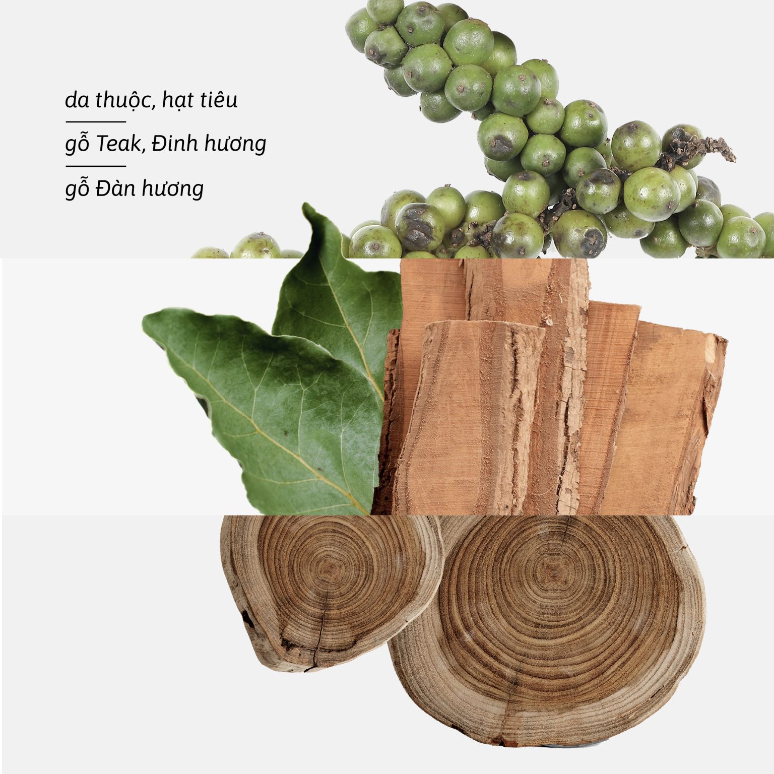 Tinh Dầu Khuếch Tán Giảm Stress MIYAKO HOME –Kết Nối: Gỗ CARIBBEAN ...
